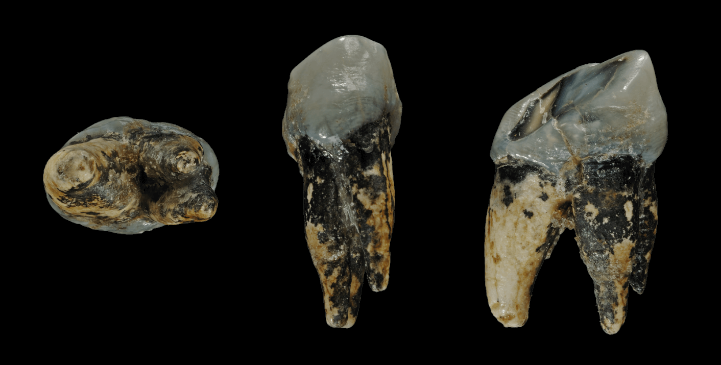 29 September 2017: What ancient hominid left her footprints in Crete ...
